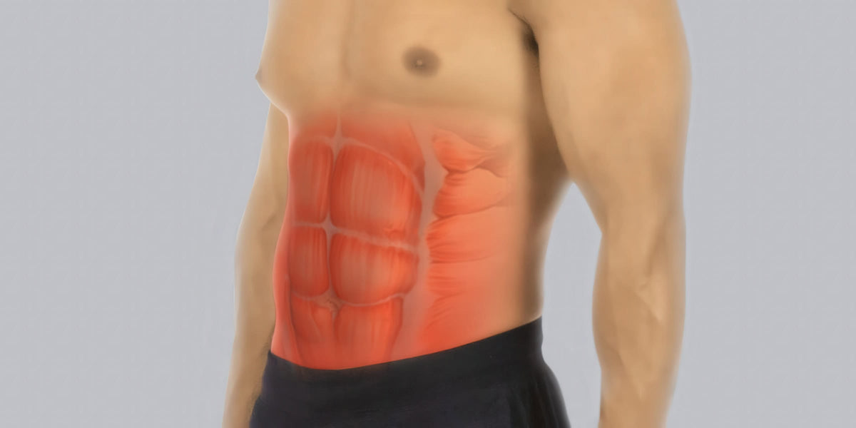 Abdominal Muscle Strain - Identifying the Pain — Vive Health