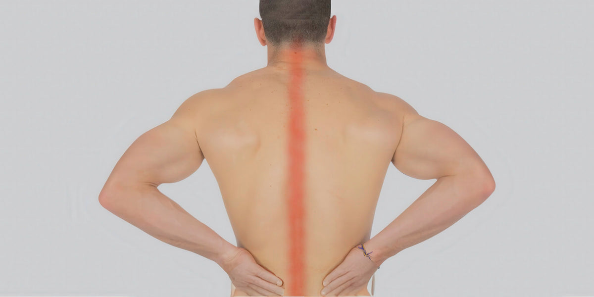 Arthritis in Back - Spinal Arthritis Overview — Vive Health