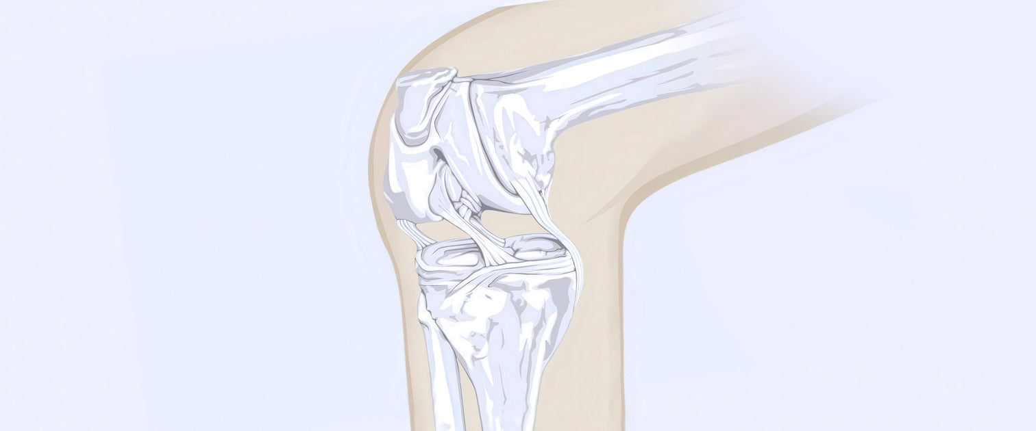 Dislocated Knee – The Complete Injury Guide — Vive Health