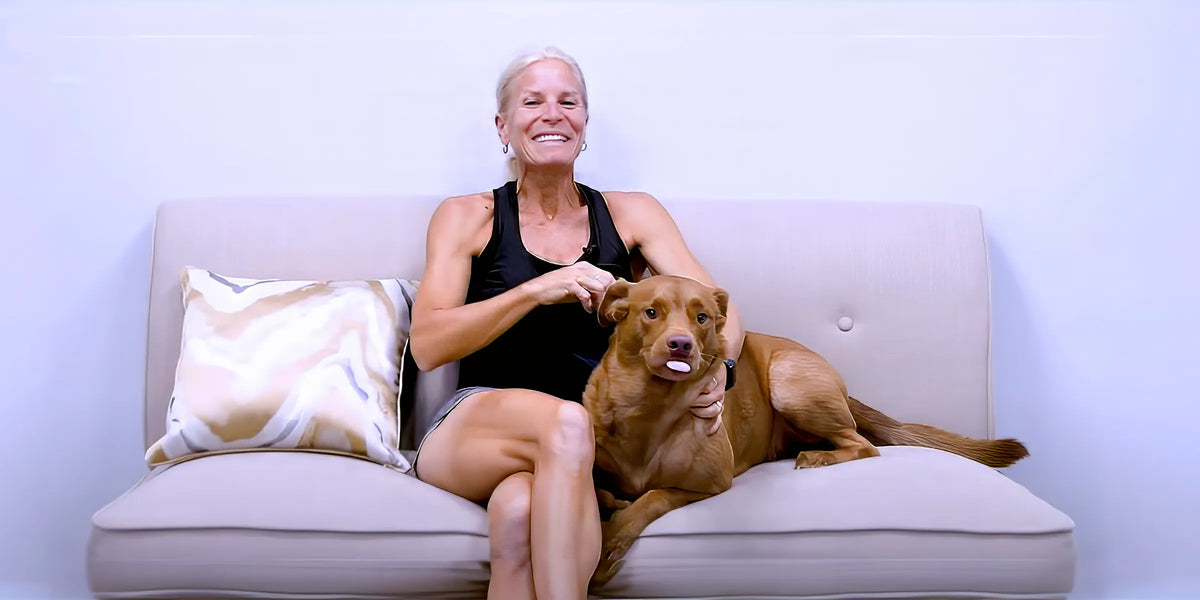 18 Top Tail-Waggers: The Best Dogs for Seniors — Vive Health