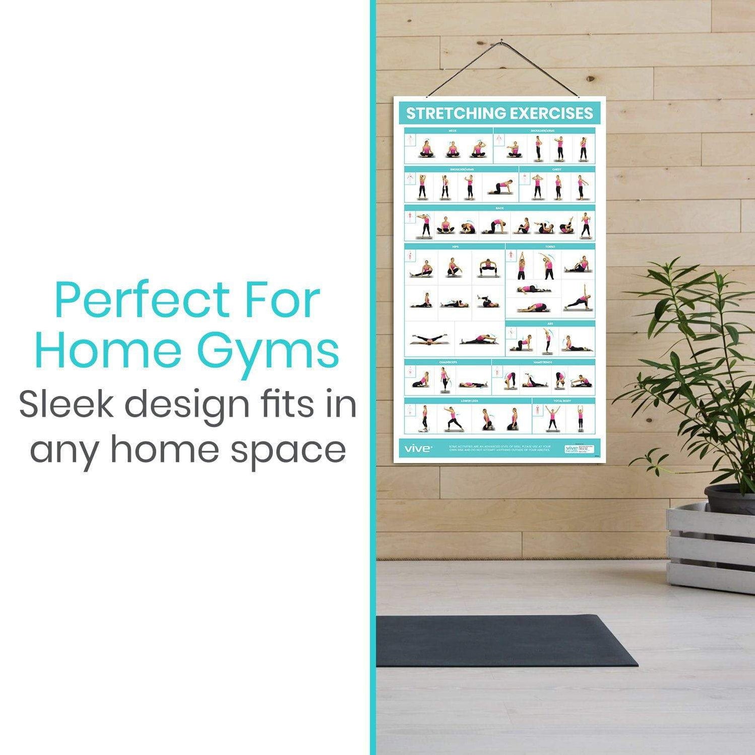 Stretching Workout Poster - 52 Exercises — Vive Health