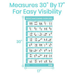 Resistance Band Poster - Exercise & Workout Guide — Vive Health