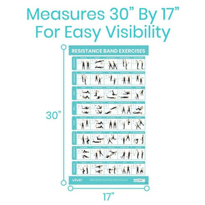 Resistance Band Poster - Exercise & Workout Guide — Vive Health