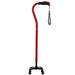 Quad Cane for Walking - Reliable Mobility Aid — Vive Health