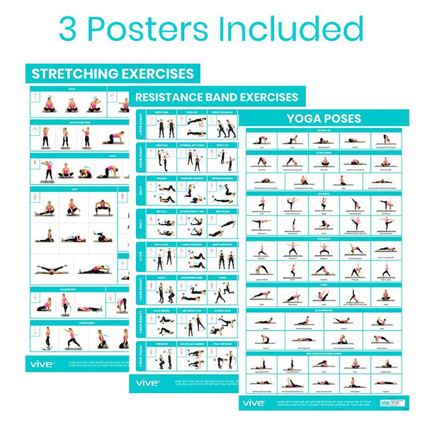Improved Flexibility Poster 3-Pack - Workout Guide - Vive Health